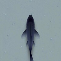 CAT ALONE 2 for Android - Download the APK from Uptodown