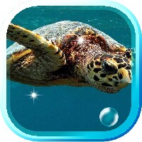 Tortoises Sea live wallpaper para Android - Descarga el APK en Uptodown