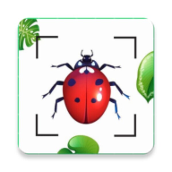 Insect ID for Android - Download the APK from Uptodown