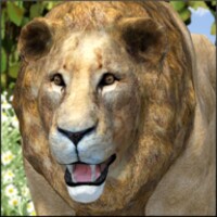 Ultimate Lion Simulator for Android - Download the APK from Uptodown