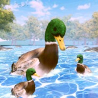 Duck Family Life Simulator 3D for Android - Download the APK from Uptodown