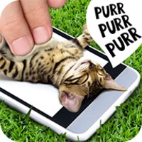 Pat a cat for Android - Download the APK from Uptodown