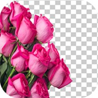 Remove Background for Android - Download the APK from Uptodown