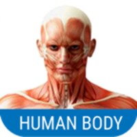 Human Body System for Android - Download the APK from Uptodown