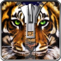 Tiger lock screen for Android - Download the APK from Uptodown