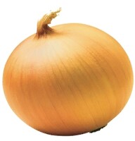 Swamp Sim Horror for Windows - Download it from Uptodown for free