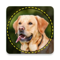 Dogs Identification App for Android - Download the APK from Uptodown