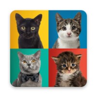 Cat Sounds for Android - Download the APK from Uptodown