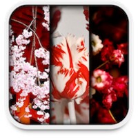 primavera Fondos de vivo para Android - Descarga el APK en Uptodown