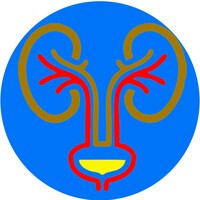 Genito Urinary for Android - Download the APK from Uptodown