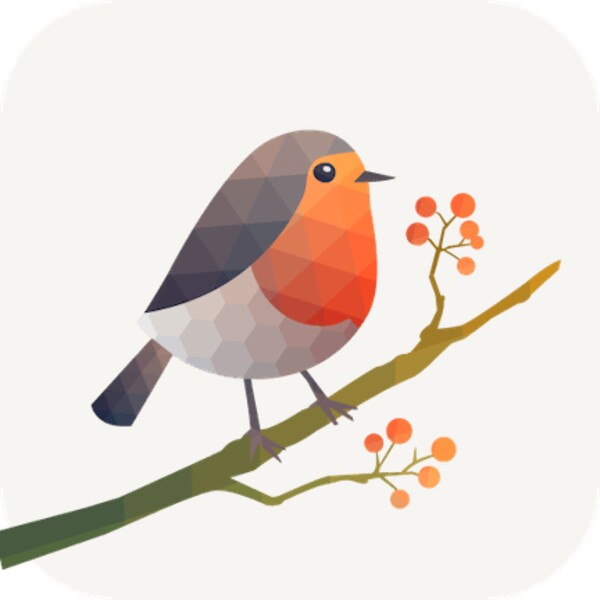 Color Gallery for Android - Download the APK from Uptodown