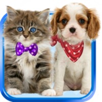 Talking Friends for Android - Download the APK from Uptodown