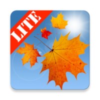 Autumn Leaves Free for Android - Download the APK from Uptodown