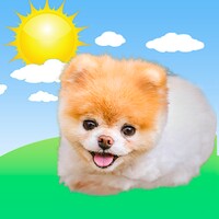 Boo Weather for Android - Download the APK from Uptodown