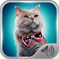Cat Sounds Ringtones for Android - Download the APK from Uptodown