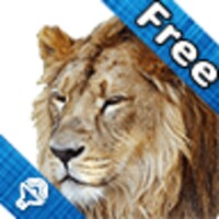 Kids zoo for Android - Download the APK from Uptodown