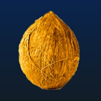 Coco App for Android - Download the APK from Uptodown