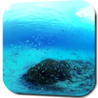 Underwater World Wallpaper for Android - Download the APK from Uptodown