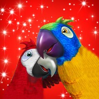 Talking Parrot Couple Free for Android - Download the APK from Uptodown