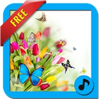 Relax Ringtones for Android - Download the APK from Uptodown