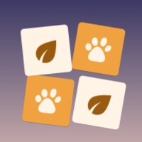 Find Pair for Android - Download the APK from Uptodown