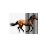 illusion animation scanner - animated illusion for Android - Download ...