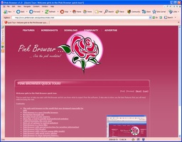 Pink Browser for Windows - Download it from Uptodown for free