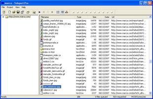 Teleport Pro for Windows - Download it from Uptodown for free