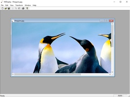 ImageMagick para Windows - Descárgalo gratis en Uptodown