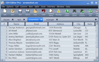 CSV Editor Pro for Windows - Download it from Uptodown for free