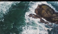 Descarga Ruffle 2022-06-17 para Windows | Uptodown.com