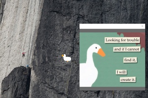 Desktop Goose for Windows - Download it from Uptodown for free