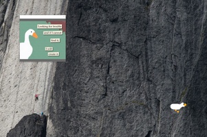 Desktop Goose for Windows - Download it from Uptodown for free