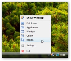 WinSnap para Windows - Descarga gratis en Uptodown