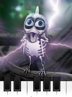 Talking Larry The Bird for Android - Download the APK from Uptodown