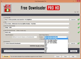 Free Downloader Pro for Windows - Download it from Uptodown for free