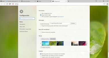 Opera Developer for Windows - Download it from Uptodown for free