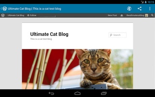 WordPress for Android - Download the APK from Uptodown